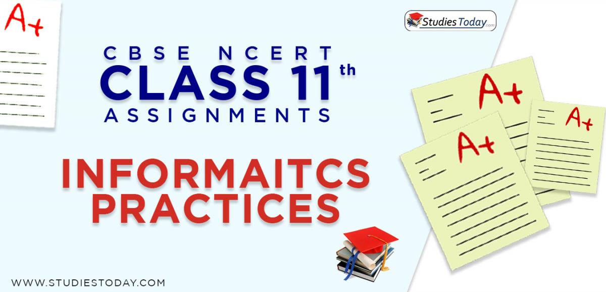 Assignments For Class 11 Informatics Practices Free Pdf Download